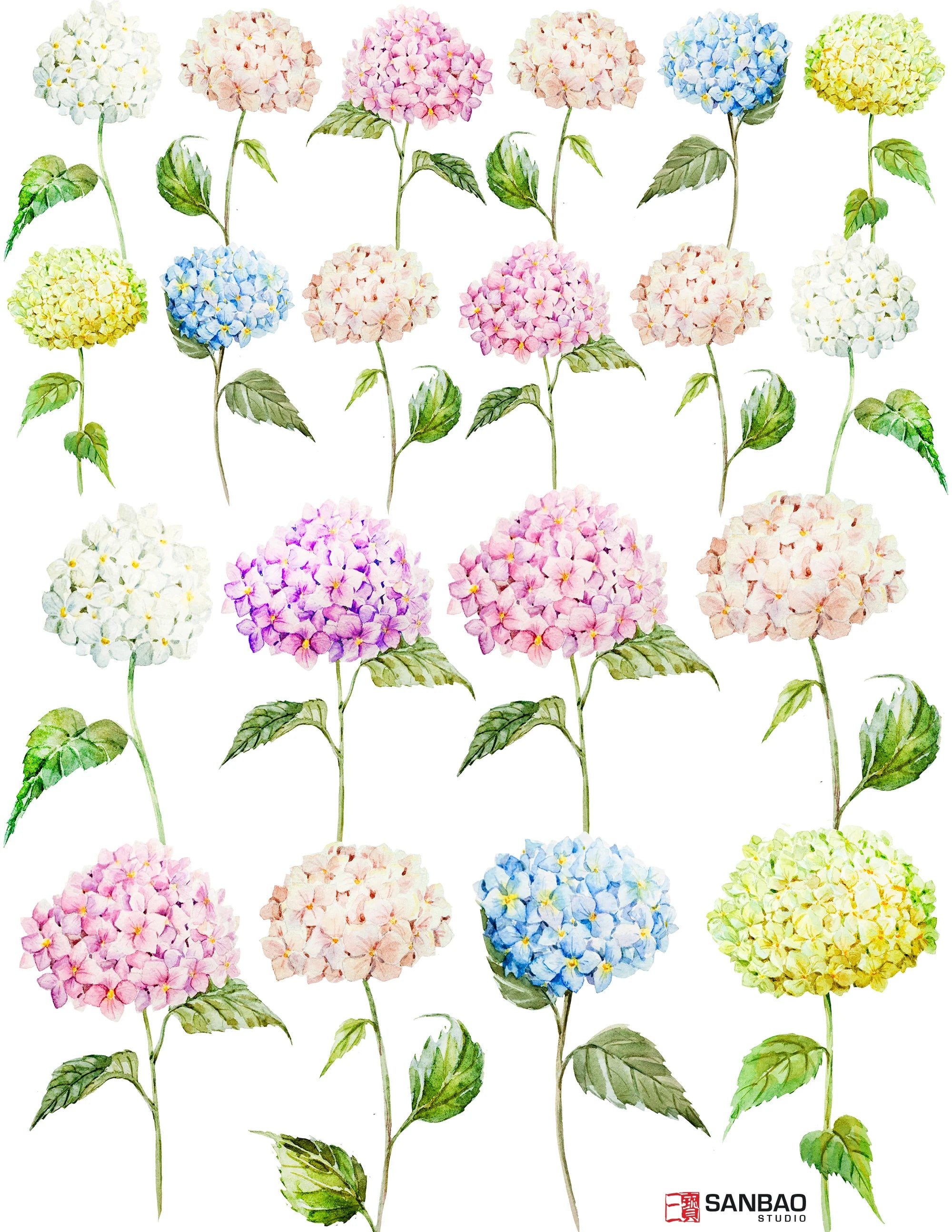 Sanbao Overglaze Hydrangea – Clayscapes Pottery, Inc